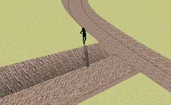 Instant Road Nui | Vali Architects | Instant Scripts