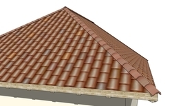 Instant Roof Nui | Vali Architects | Instant Scripts